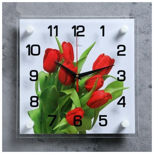 Рубин Часы настенные, серия: Цветы, "Тюльпаны на белом фоне", 25х25 см