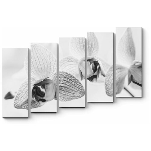 Модульная картина Черно-белые орхидеи 180x126
