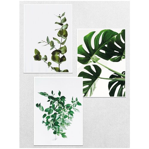 Постеры интерьерные тропические листья ботаника Набор Плакатов 3 шт