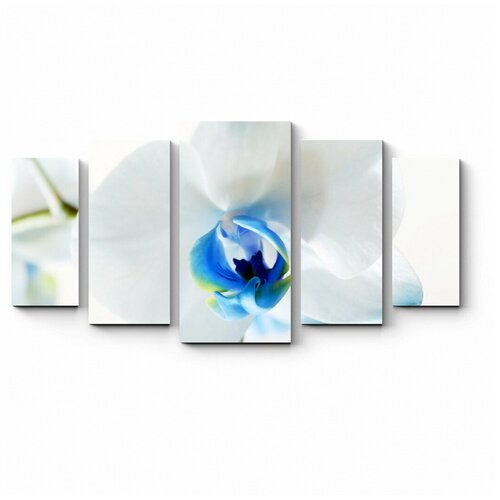Модульная картина Белая орхидея 110x61
