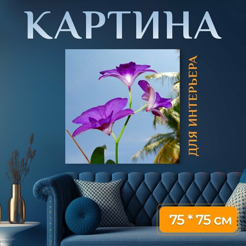 Картина на холсте "Орхидея, дендробиум, фиолетовый" на подрамнике 75х75 см. для интерьера