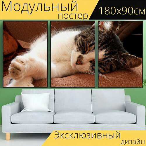 Модульный постер "Кошка, даховец, животное" 180 x 90 см. для интерьера