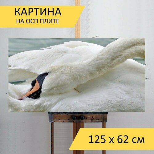 Картина на ОСП 125х62 см. "Лебедь, плавать, вода" горизонтальная, для интерьера, с креплениями