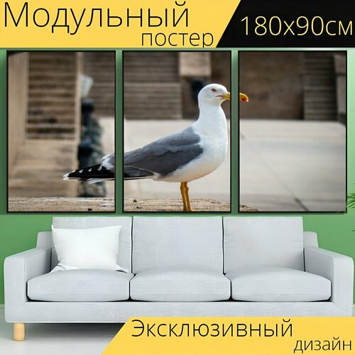 Модульный постер "Чайка, животное, птица" 180 x 90 см. для интерьера