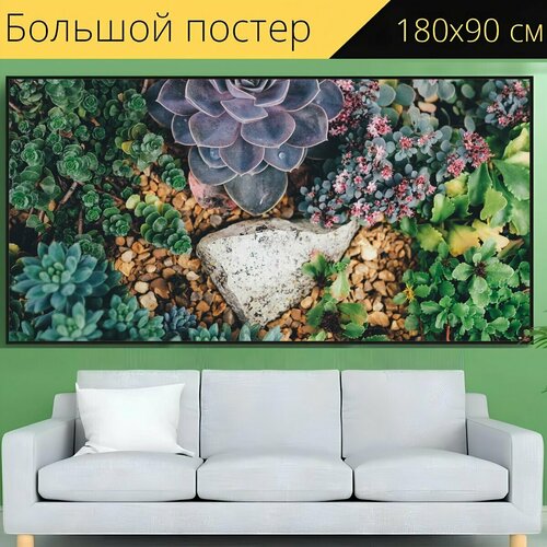 Большой постер "Суккуленты, растения, сад" 180 x 90 см. для интерьера