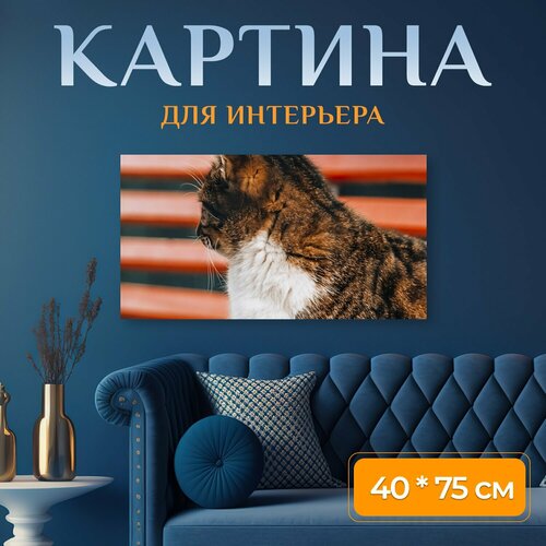 Картина на холсте "Кошка, домашний питомец, полосатый" на подрамнике 75х40 см. для интерьера