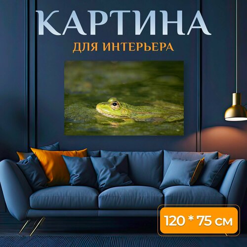 Картина на холсте "Лягушка, воды, зеленый" на подрамнике 120х75 см. для интерьера