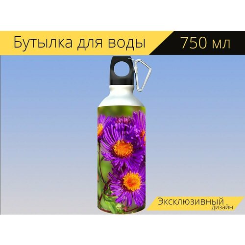 Бутылка фляга для воды "Астры, цветы, блум" 750 мл. с карабином и принтом