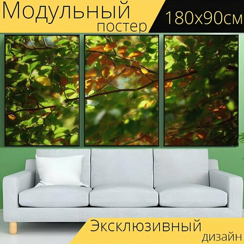 Модульный постер "Листья, листва, деревья" 180 x 90 см. для интерьера