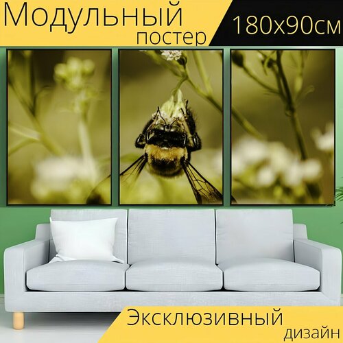 Модульный постер "Шмель, пчела, насекомое" 180 x 90 см. для интерьера