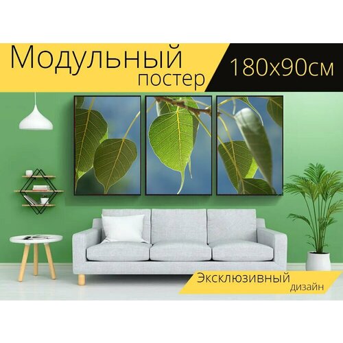 Модульный постер "Листья, листва, дерево" 180 x 90 см. для интерьера