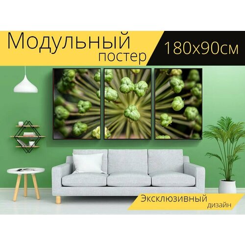 Модульный постер "Декоративные лук, лук, цветочный шар" 180 x 90 см. для интерьера