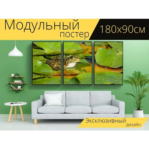 Модульный постер "Лягушка, воды лягушка, лилии" 180 x 90 см. для интерьера
