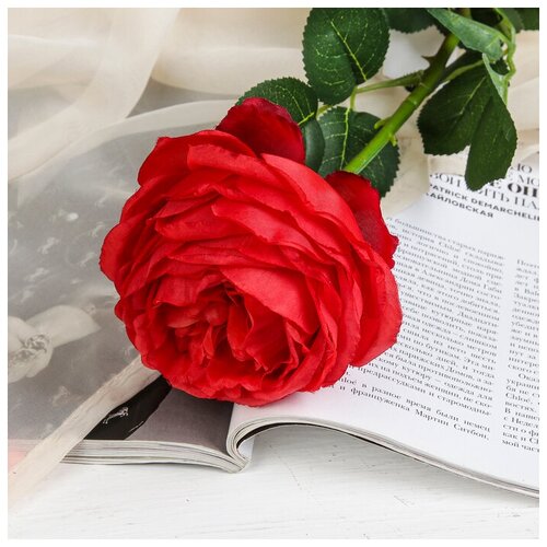 --- Цветы искусственные "Роза бархатная" 10х65 см, красный