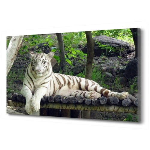 Картина на холсте "Тигр" PRC-1193 (45x30см). Натуральный холст