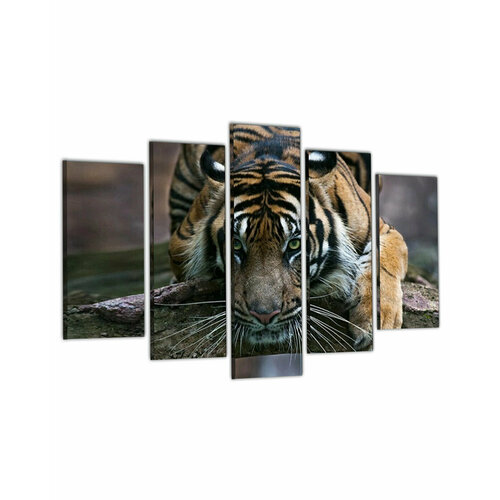 Картина на стену большая / Картина на холсте "Взгляд тигра / Животные" 80х125см М674-