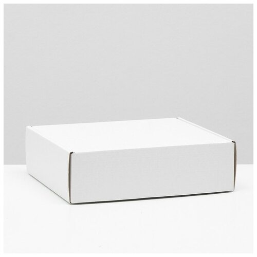 Коробка самосборная, белая, 27 х 24 х 8 см, 7511002