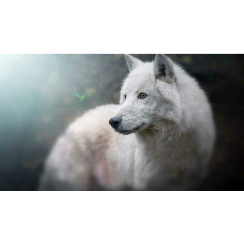 Картина на холсте 60x110 LinxOne "Белый волк морда" интерьерная для дома / на стену / на кухню / с подрамником