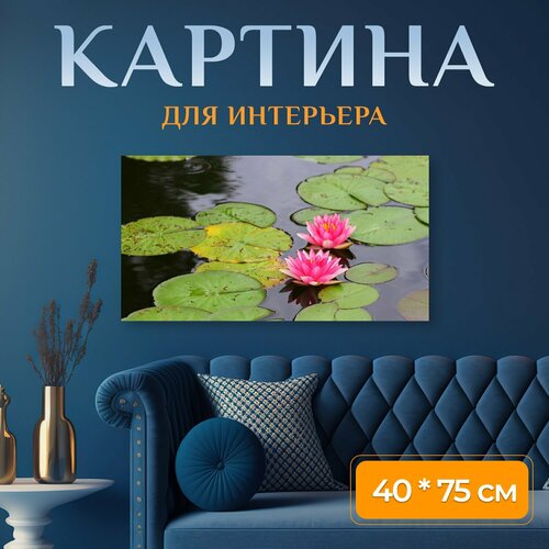 Картина на холсте "Лотос, водяная лилия, цветок лотоса" на подрамнике 75х40 см. для интерьера