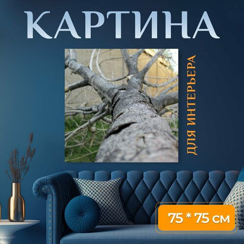 Картина на холсте "Падшее дерево, ствол, дерево" на подрамнике 75х75 см. для интерьера