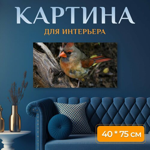 Картина на холсте "Птица, красная птица, кардинал" на подрамнике 75х40 см. для интерьера
