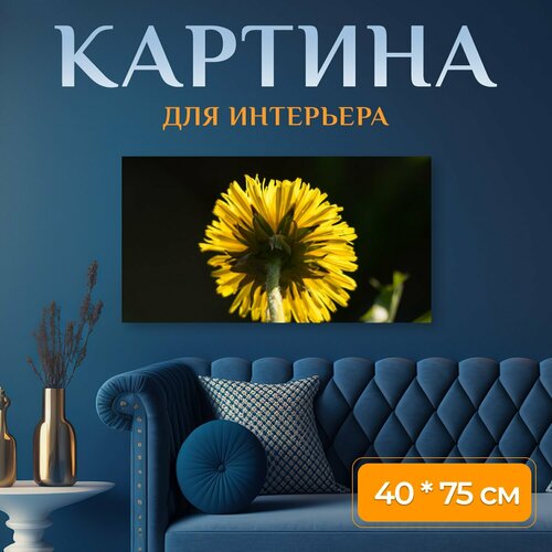 Картина на холсте "Одуванчик, подсветка, желтый" на подрамнике 75х40 см. для интерьера