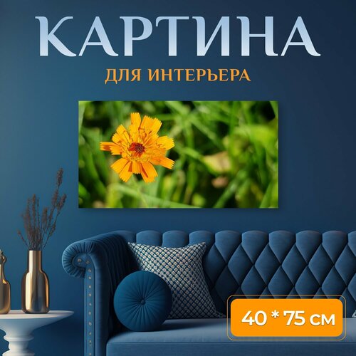 Картина на холсте "Цвести, апельсин, цветок" на подрамнике 75х40 см. для интерьера