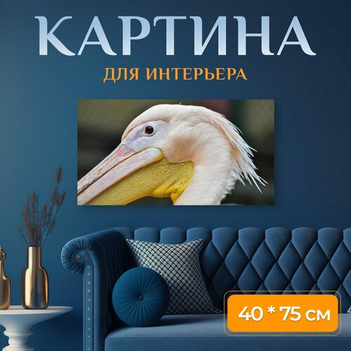 Картина на холсте "Пеликан, пеликан птица, природа" на подрамнике 75х40 см. для интерьера