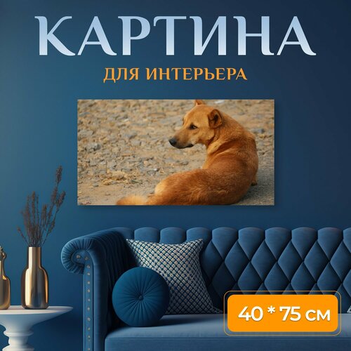Картина на холсте "Бездомная собака, собака, животное" на подрамнике 75х40 см. для интерьера