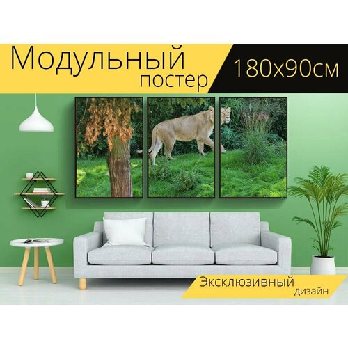 Модульный постер "Львица, хищник, кот" 180 x 90 см. для интерьера