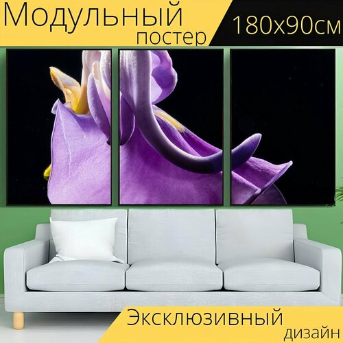 Модульный постер "Цвести, цветок, полевой цветок" 180 x 90 см. для интерьера