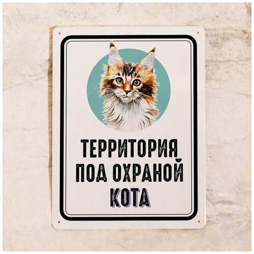 Металлическая табличка на забор Территория под охраной кота Мейн Куна , идея подарка владельцу кота , металл, 20х30 см