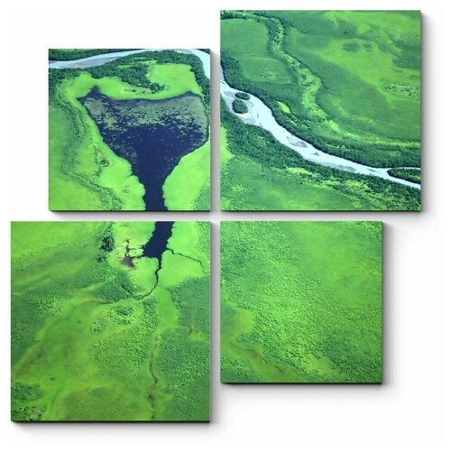Модульная картина Зеленые поля и река с высоты птичьего полета150x150