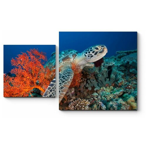 Модульная картина Морская черепаха в кораллах120x72