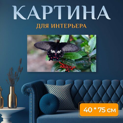 Картина на холсте "Бабочка, чернить, насекомое" на подрамнике 75х40 см. для интерьера