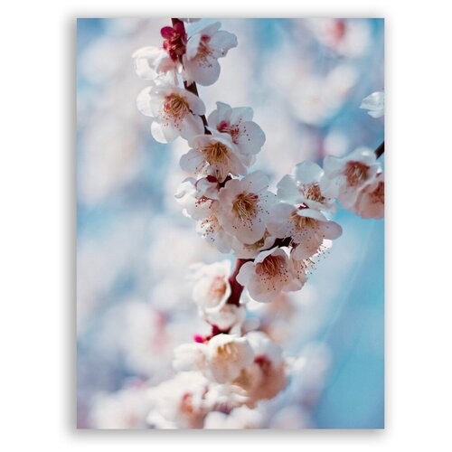 Постер цветы на бумаге / Sakura / Сакура