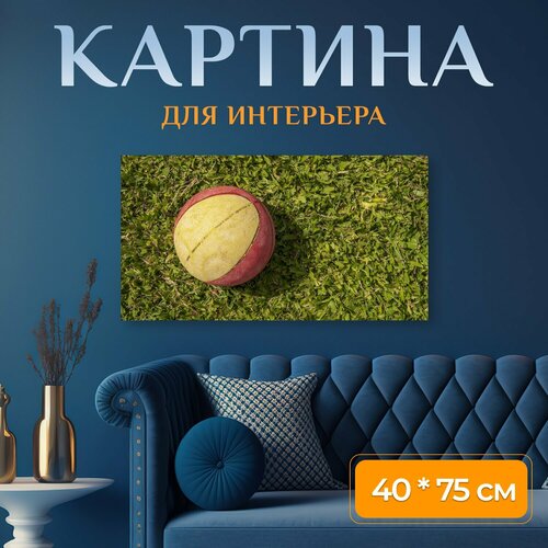 Картина на холсте "Мяч, трава, лужайка" на подрамнике 75х40 см. для интерьера
