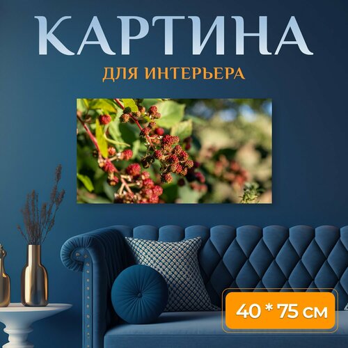 Картина на холсте "Ягоды, куст, фрукты" на подрамнике 75х40 см. для интерьера