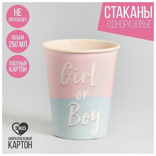 Стакан бумажный Girl or Boy, набор 6 шт, 250 мл