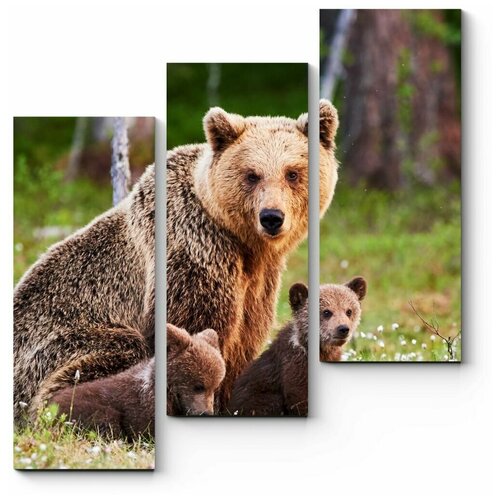Модульная картина Семья очаровательных медведей 60x64