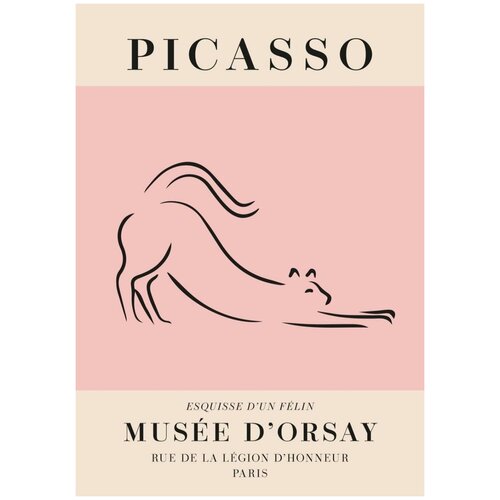 Постер / Плакат / Картина Пабло Пикассо - Кошка 40х50 см в подарочном тубусе