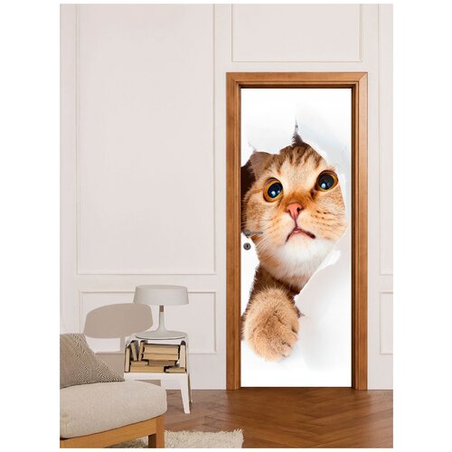 Наклейка интерьерная на дверь "Кошка, вылезающая из дыры", самоклеющаяся 80х200 см.