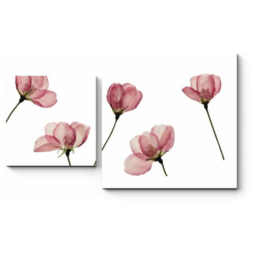 Модульная картина Сухие цветы 100x60