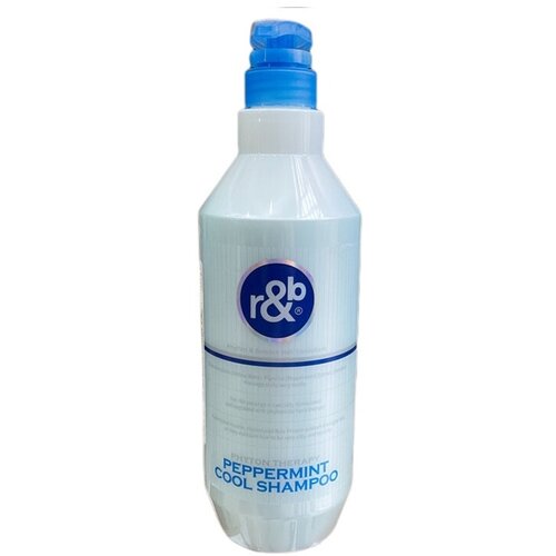 R&b Шампунь освежающий для волос с экстрактом мяты Phyton Therapy Peppermint Cool Shampoo 450 мл