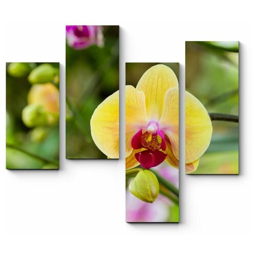 Модульная картина Тропическая орхидея, цветущая в летнем саду 94x88