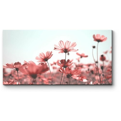 Модульная картина Розовое поле цветов140x70