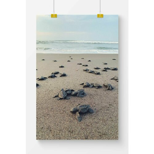 Постер для интерьера Postermarkt, 70х100 см в тубусе, постер Море #67