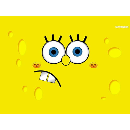 Плакат, постер на бумаге SpongeBob/Губка Боб/комиксы/мультфильмы. Размер 21 х 30 см