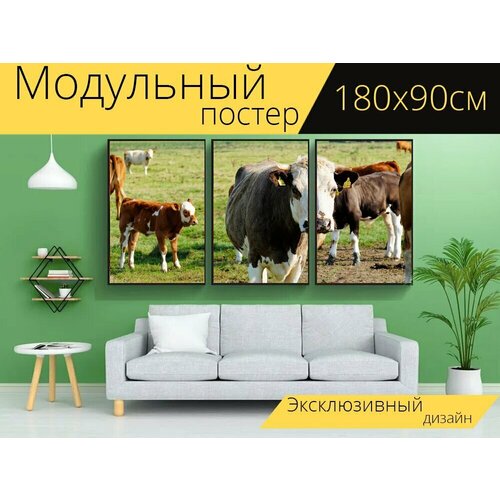 Модульный постер "Коровы, пастбище, телята" 180 x 90 см. для интерьера