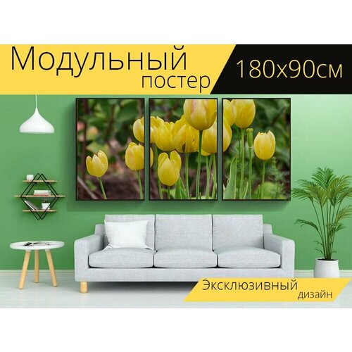 Модульный постер "Тюльпаны, желтый, цветок" 180 x 90 см. для интерьера